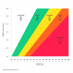 BMI Calculator Canada - Calculate Your Body Mass Index